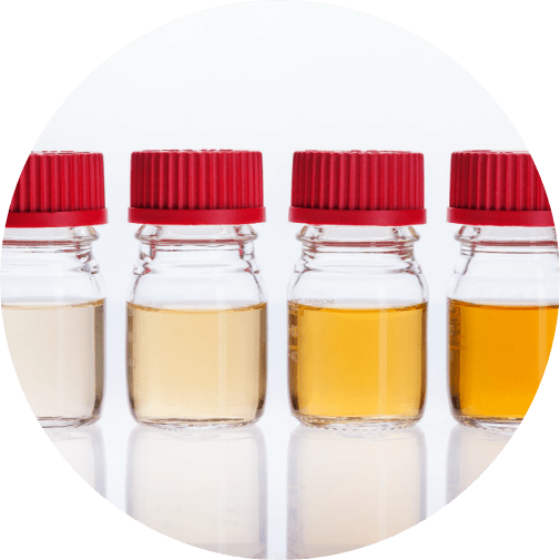 Helleborus Therapy - Helixor