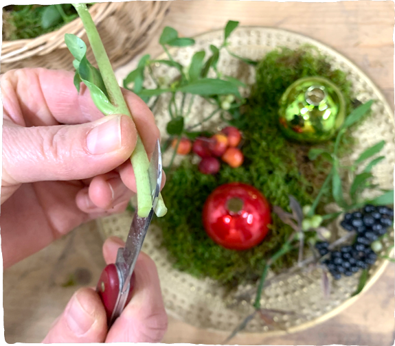 Christmas gift - Helixor