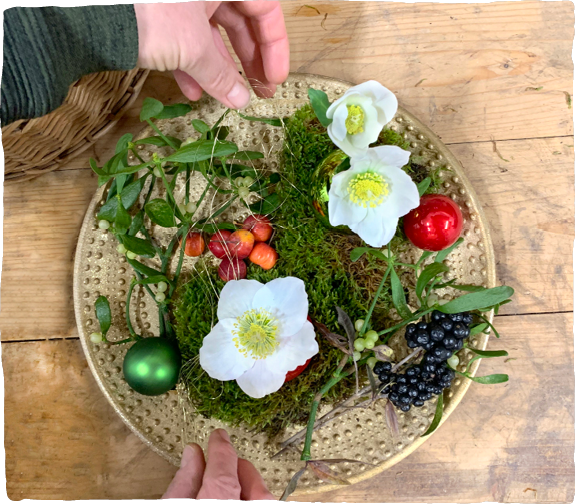 Christmas gift - Helixor