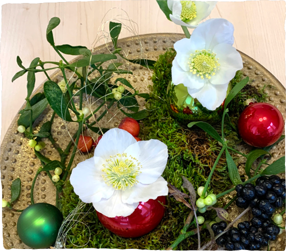 Christmas gift - Helixor