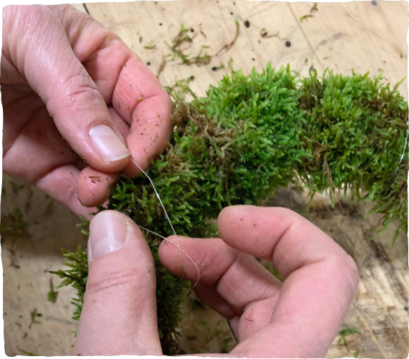 Christmas gift - Helixor