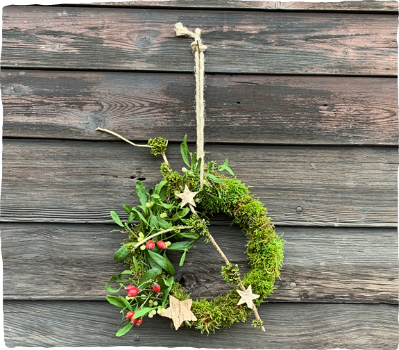 Christmas gift - Helixor